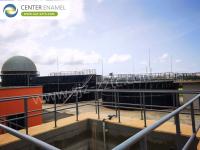 China Cassava Waste to Gas Tanzania: Leading  Biogas Plant Project Design with GFS Tanks Solution for sale