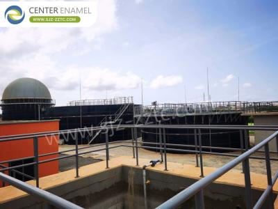 China Cassava Waste to Gas Tanzania: Leading  Biogas Plant Project Design with GFS Tanks Solution for sale