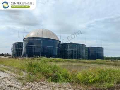 China Advanced Biogas Plant Design and CSTR Process for Indonesia Sugarcane Bagasse Treatment for sale