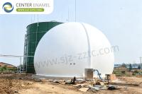 China Turkey’s Restaurant Food Waste to Biogas: Advanced CSTR Process and Biogas Plant Project Design Solutions for sale