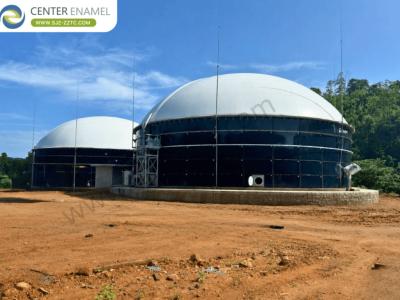 China Biogas Plant Design with CSTR Process Turns Vietnam’s Pennisetum Purpureum into Renewable Energy for sale