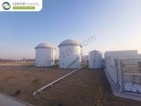 China Converting Ghana Food Waste to Biogas with CSTR Process and CBG Plant EPC Solutions for sale