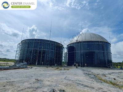 China Building a Biogas Power Plant for Sugarcane Bagasse to Biogas with GFS Tanks in Vietnam for sale