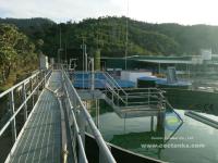 China Dark Green Liquid Storage Tanks For Corrosive And Non - Corrosive Chemicals for sale