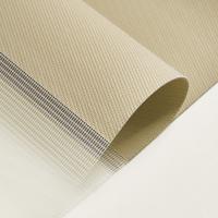 China Polyester One Way Electric Blackout Roller Fabric Blinds Shades For Windows for sale