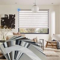China 100% Polyester Day And Night Window Blinds For The Home Electric Motor Uk Options Decorative Pull Down Shades for sale