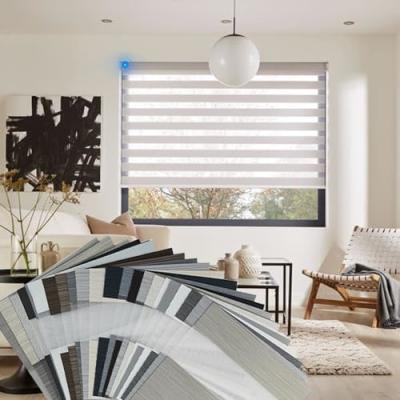 China 100% Polyester Day And Night Window Blinds For The Home Electric Motor Uk Options Decorative Pull Down Shades for sale