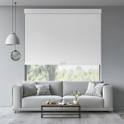 China Customizable Modern Style Waterproof Fiberglass Roller Blind Fabric for Home for sale