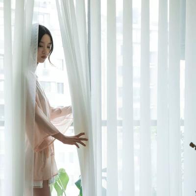 China New Products Sun Block Sheer Dream Curtain Vertical Blinds Hanas Blind Fabrics for Home Decoration for sale