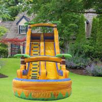 China Inflatable Bounce House with Water Slide Max Capacity 100-500kg Repair Kit Included for sale