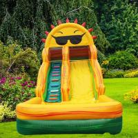China Customized Digital Printing Bouncy Castle Waterslide for Outdoor Fun and Parties for sale