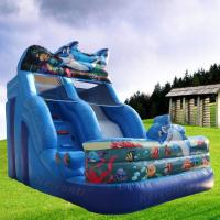 China Commercial Occasion Get a Double-Sided Children's Inflatable Water Slide with Pool for sale