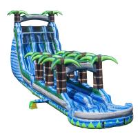 China Free Printing Children's Double Lane Inflatable Slides with Detachable Swimming Pool for sale