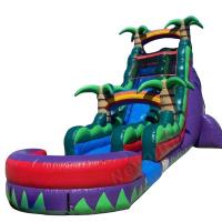 China Free Printing Children's Double Lane Inflatable Slides with Detachable Swimming Pool for sale