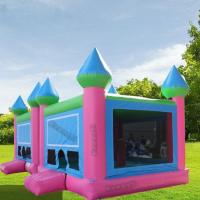 China As Customized Unisex Inflatable Bounce House Commercial Bouncy Castle with Slide for sale