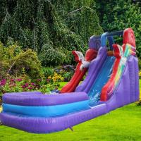 China Green Palm Tree Jumping Bouncer Marble Tropical Waterslide Combo Bounce House with Pool for sale