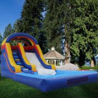 China Green Palm Tree Jumping Bouncer Marble Tropical Waterslide Combo Bounce House with Pool for sale