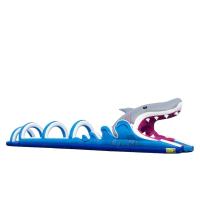 China Indoor Large Inflatable Shark Belly Slide with 10 Passenger Capacity and Shark Water Slide for sale