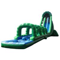 China Indoor Large Inflatable Shark Belly Slide with 10 Passenger Capacity and Shark Water Slide for sale