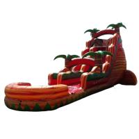 China Indoor Large Inflatable Shark Belly Slide with 10 Passenger Capacity and Shark Water Slide for sale