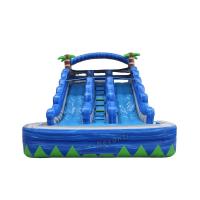 China Indoor Large Inflatable Shark Belly Slide with 10 Passenger Capacity and Shark Water Slide for sale