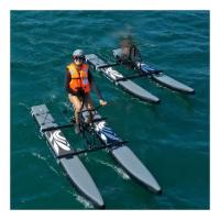 China Max Capacity 100-500kg Trendy Inflatable Floating One Seated Sea Cycle Water Bike for sale