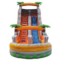 China Shipping Way By Sea and Air Commercial Grade Inflatable Bouncy Castle Tropical Water Slide for sale