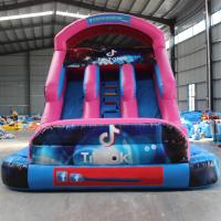 China Outdoor Inflatable Water Slide for Children and Adults Accommodates 5-10 Passengers for sale