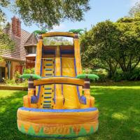 China Outdoor Inflatable Water Slide for Children and Adults Accommodates 5-10 Passengers for sale