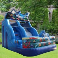 China Outdoor Inflatable Water Slide for Children and Adults Accommodates 5-10 Passengers for sale