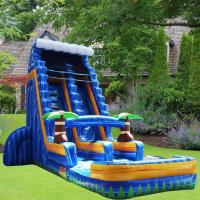 China Outdoor Inflatable Water Slide for Children and Adults Accommodates 5-10 Passengers for sale