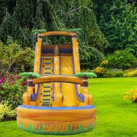 China Customized Size Outdoor Inflatable Water Slide Park with Trampoline and Bouncy Castle for sale
