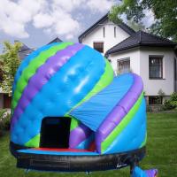 China Inflatable Bouncer Castle Water Bounce House Commercial with Blower Customized Color for sale