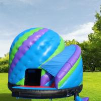 China 2024 Blue Inflatable Bounce House Jumper for 14 Years up PVC Large Inflatable Castles for sale