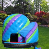 China 2024 Blue Inflatable Bounce House Jumper for 14 Years up PVC Large Inflatable Castles for sale