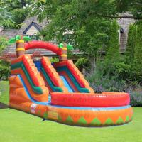 China Custom Logo Printed Inflatable Double Slide for Kids and Bouncer in 2024 Latest Models for sale