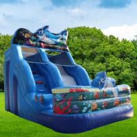 China Custom Logo Printed Inflatable Double Slide for Kids and Bouncer in 2024 Latest Models for sale