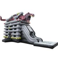 China Inflatable Water Slide Commercial Customized Color Inflatable Pool Slide for Adult 2024 for sale