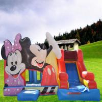 China 14 Years Up Customized Color Large Bouncy Castle Inflatable Bounce House with Water Slide for sale