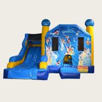 China 14 Years Up Customized Color Large Bouncy Castle Inflatable Bounce House with Water Slide for sale
