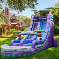 China Custom Logo Printed 2024 Inflatable Water Slide Bounce House with Slide and Packing Bag for sale