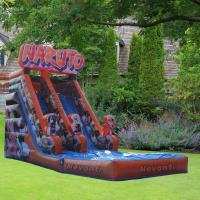 China Custom Logo Printed 2024 Inflatable Water Slide Bounce House with Slide and Packing Bag for sale