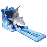 China Allowable Passenger 10 Inflatable Water Slide with Pool Digital Printing for sale