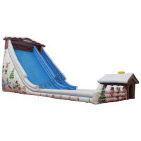 China Allowable Passenger 10 Inflatable Water Slide with Pool Digital Printing for sale