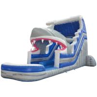 China Allowable Passenger 10 Inflatable Water Slide with Pool Digital Printing for sale