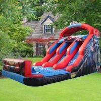 China 2024 Inflatable Water Slide for Kids Max Capacity 100-500kg Allowable Passenger 5-10 for sale