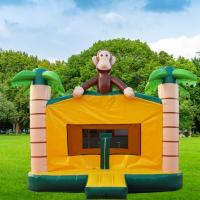 China PVC Castle Bouncer Inflatable Bounce House Slide Combo Luxury with Custom Logo Printed for sale