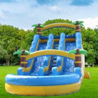 China Custom Logo Printed Commercial Water Slides Inflatable Bouncy House for Adults for sale