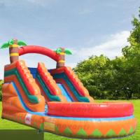China Customized Color Dual Lane Inflatable Water Slide with Max Capacity of 100-500kg for sale