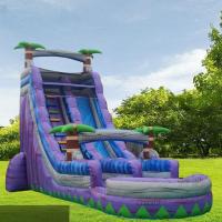 China Customized Color Dual Lane Inflatable Water Slide with Max Capacity of 100-500kg for sale